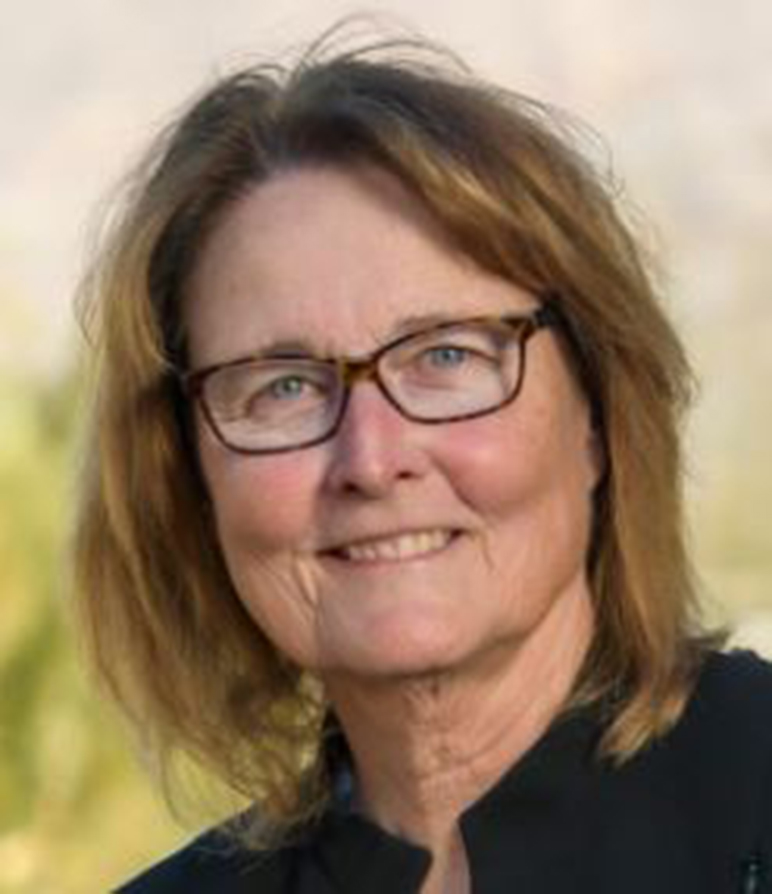 Anne E. Cress, PhD | College of Medicine - Tucson